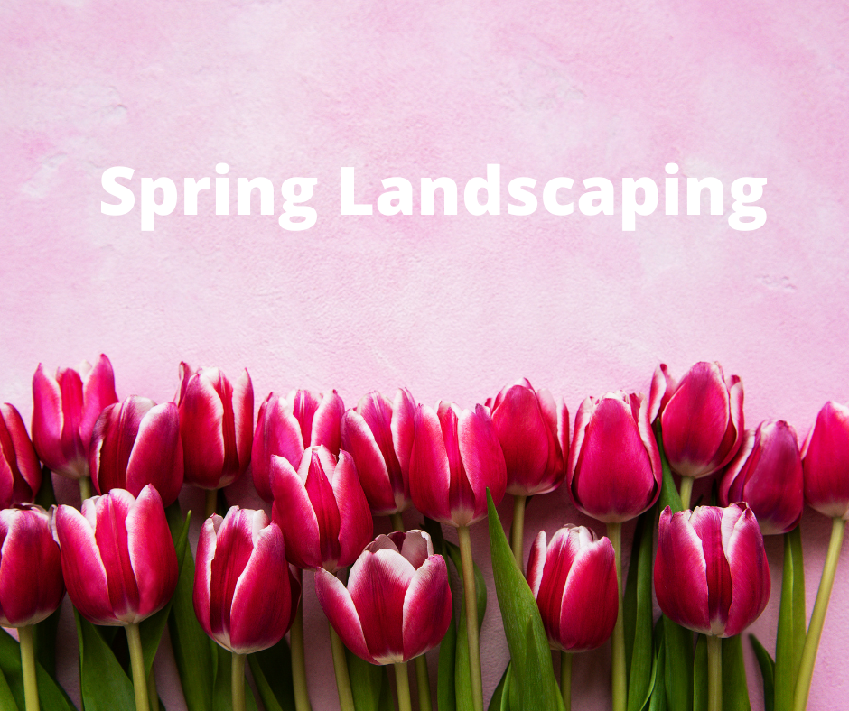 4 Spring Landscaping Ideas In Texas - Landscape Design | Fallas ...