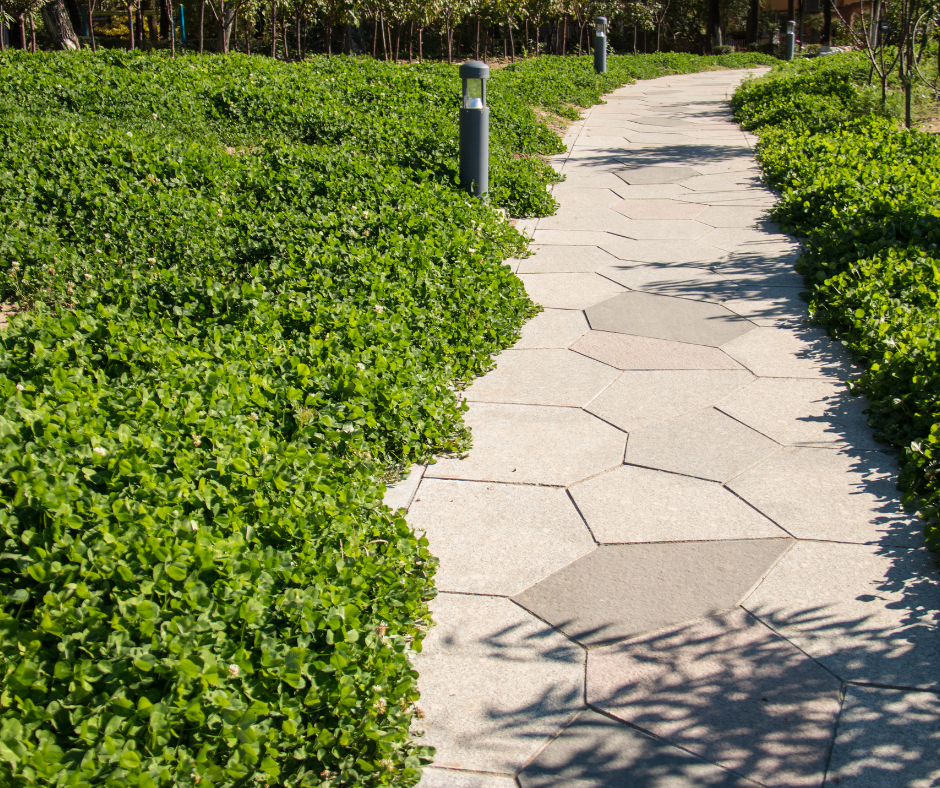 Landscaping & Lawn Maintenance - Blog| Fallas Landscape