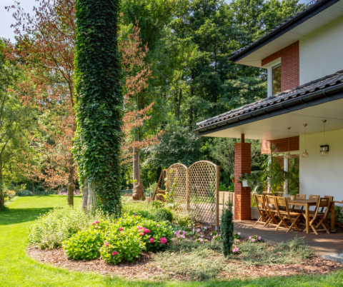 Six Landscaping Ideas That Will Help Your Yard Transition Into Fall ...