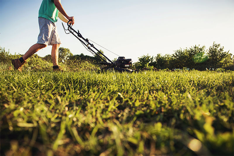 Ideal Time of Day for Lawn Mowing | Fallas Landscape